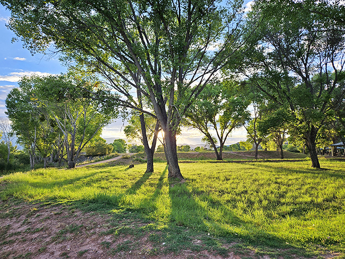 Golden hour magic transforms Dead Horse Ranch's meadows into a scene straight from a storybook.