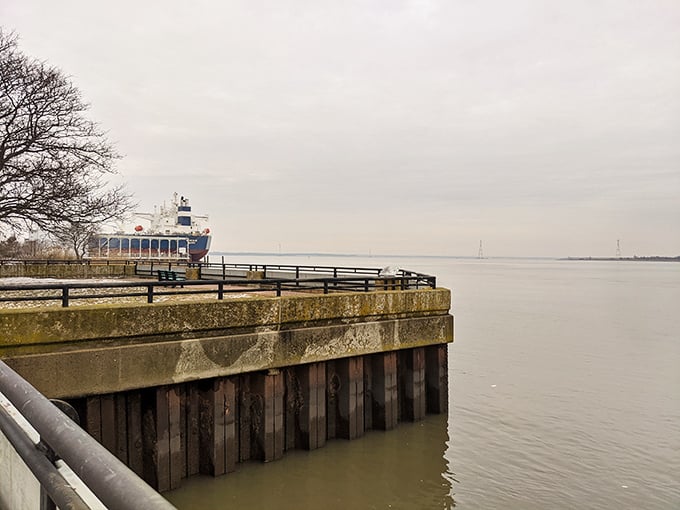 Where massive ships and historic architecture meet. Like a maritime museum that forgot to charge admission.