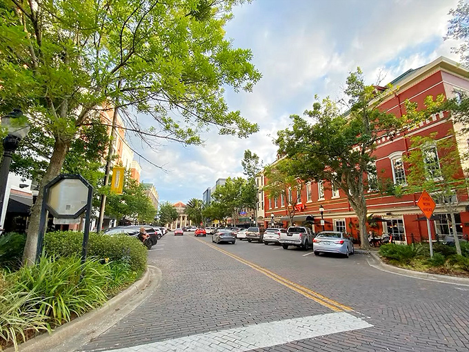 This bird's-eye view shows Gainesville's perfect mix of urban amenities and manageable small-city charm.