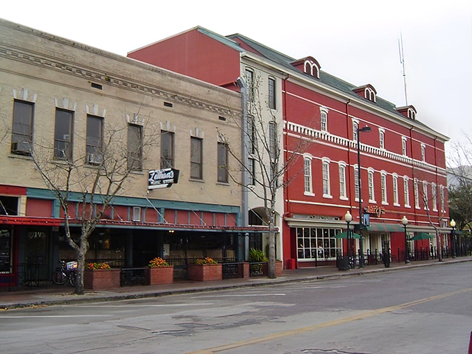 Oak trees frame Gainesville's historic downtown, where college-town energy meets small-city charm in perfect, stress-melting harmony.