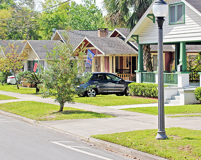 The wide streets of Gainesville invite exploration, with enough shade trees to make Florida's sunshine feel like a gentle friend.