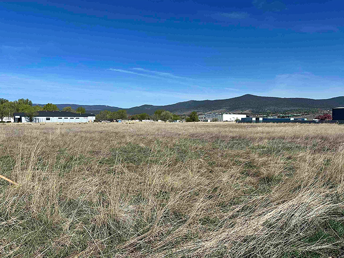 The rolling hills around Johnstonville provide a masterclass in affordable California living without the traffic-induced therapy bills.