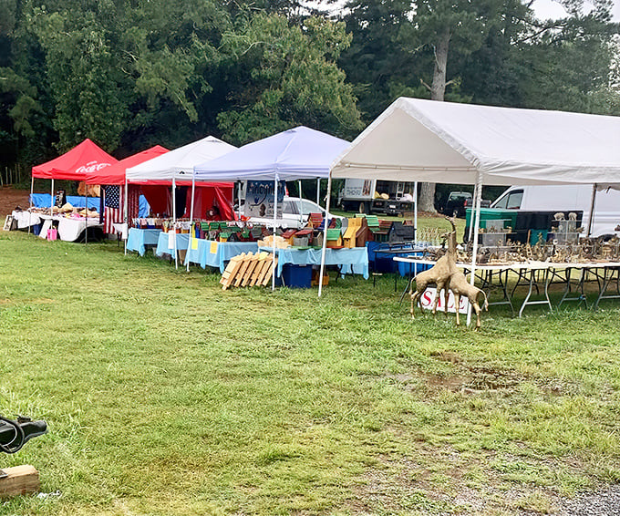 Under these tents, treasure hunters brave Georgia weather for the thrill of the find&mdash;part safari, part shopping spree, entirely addictive.