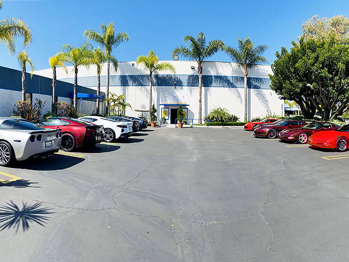 A lineup of dream machines outside the Lions Automobilia Foundation. Even the parking lot is a car show at this hidden gem!