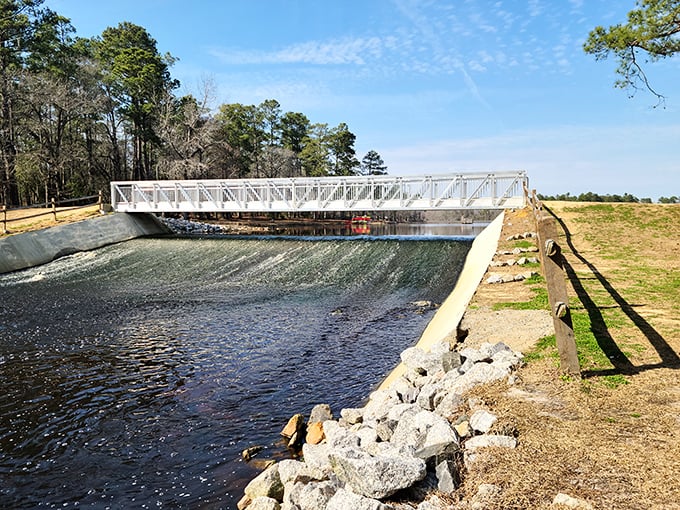 Mirror, mirror in the swamp, Little Pee Dee's reflections are worth every mosquito bite.