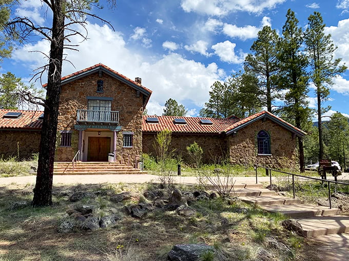 Rustic stone architecture blends perfectly with the ponderosa pines, housing collections that span millions of years of northern Arizona history.
