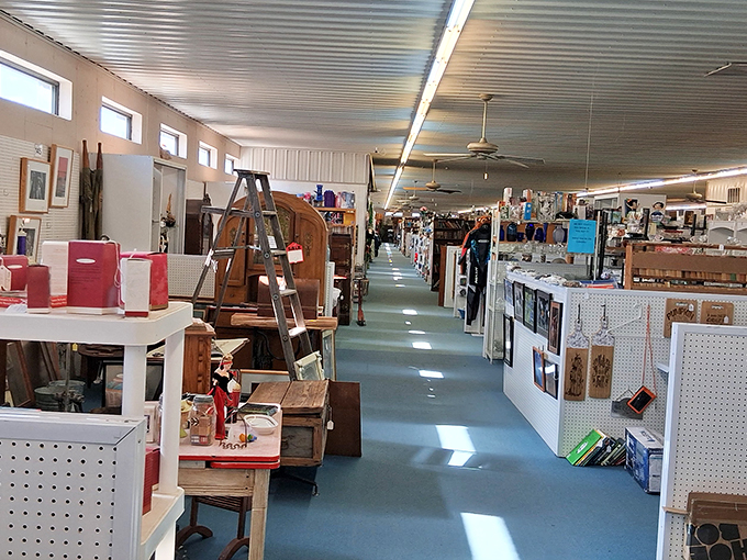 Clean aisles and organized displays make treasure hunting feel civilized while staying wildly exciting. 