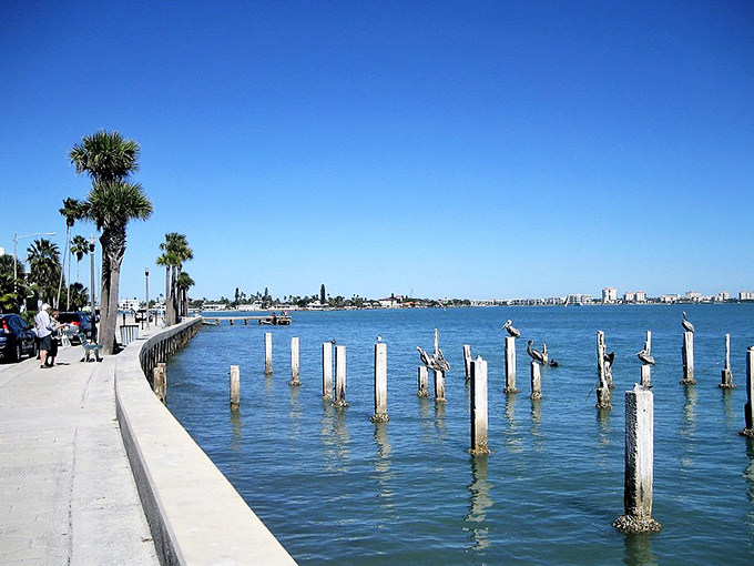 That perfect Florida moment when rainbow skies remind you why some beaches become lifetime favorites. 