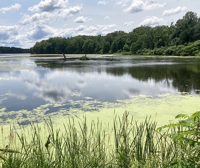 Crystal clear waters at Potato Creek State Park invite you to dip your toes or cast a line. Summer perfection!