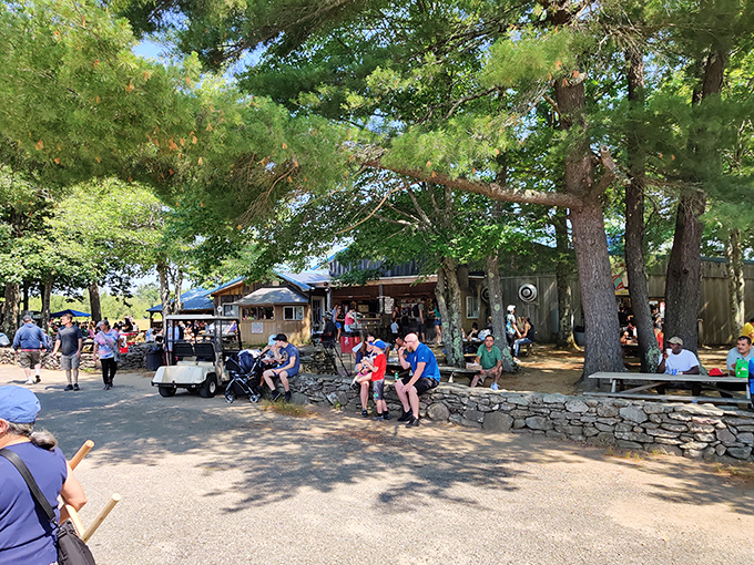 Summer sunshine and pine trees frame Rietta's outdoor shopping experience&mdash;a hidden gem in central Massachusetts.