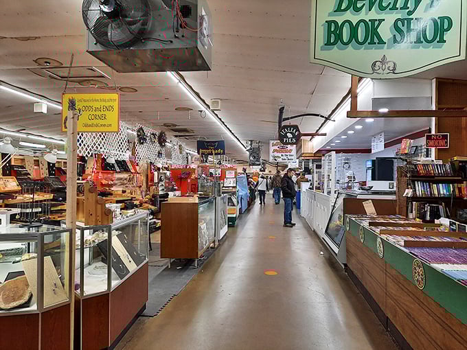 Books, collectibles, and curiosities! Root's indoor market aisles invite you to lose yourself in a world of potential discoveries.