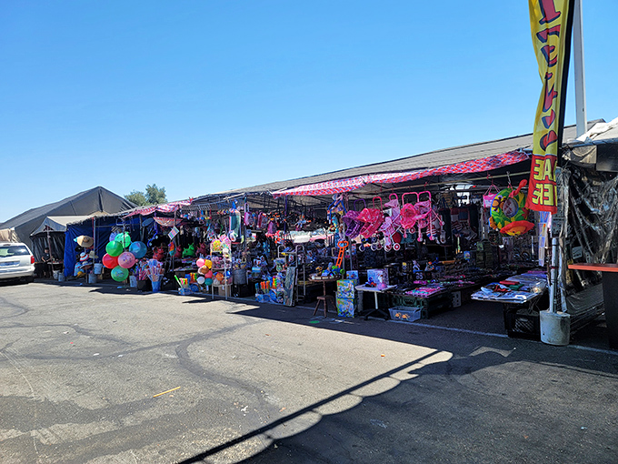 Rainbow of plastic toys meets practical household goods. One person's excess inventory is another's perfect find.