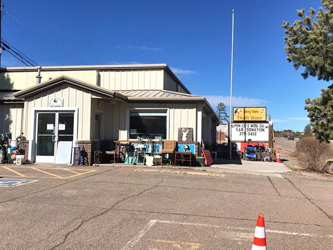 This unassuming thrift store supports wildlife education while offering East Mountain treasures that would cost a fortune elsewhere.