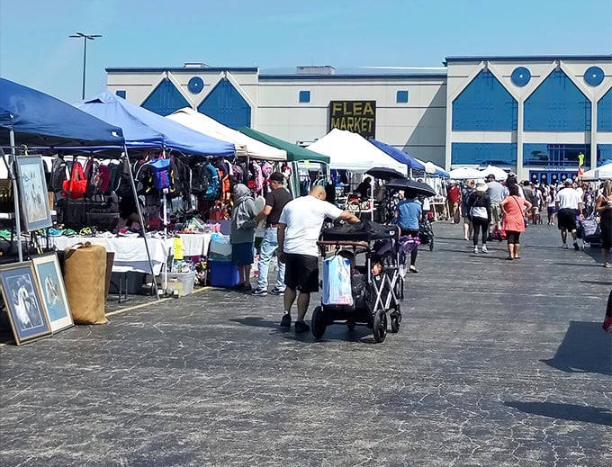 Wolff's outdoor market transforms an ordinary parking lot into an extraordinary bazaar of possibilities.