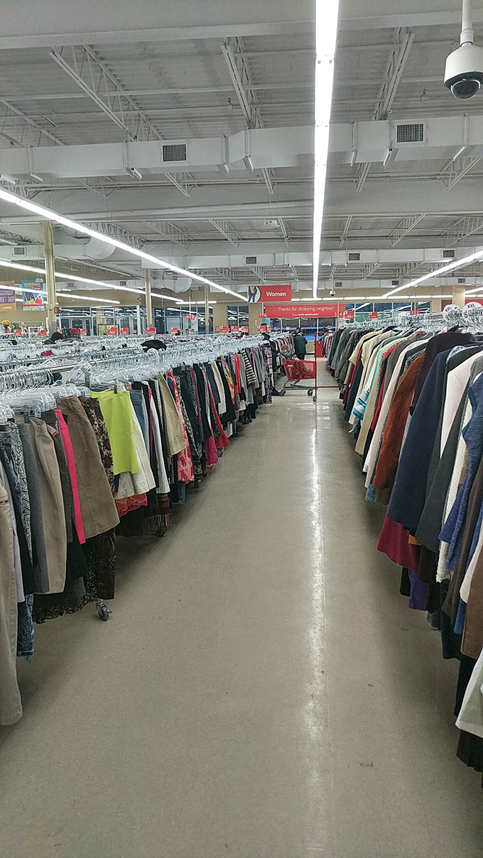 Aisle after aisle of organized potential. The thrill of the hunt has never been so well-lit.