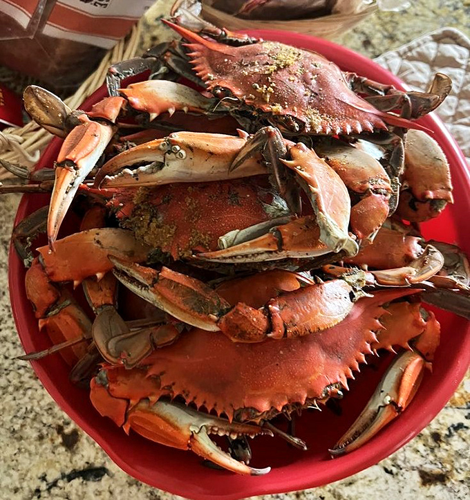 A red bucket of blue crab joy – the kind of seafood feast that turns strangers into friends across picnic tables.