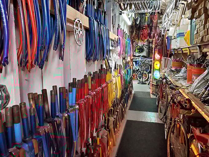 A rainbow of bicycle forks creates an oddly satisfying display of cycling components&mdash;proof that even bike parts can become accidental art.