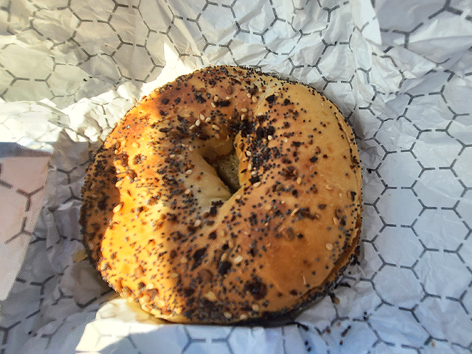 This everything bagel looks like it escaped from a Brooklyn bakery and found retirement paradise in Fort Myers.
