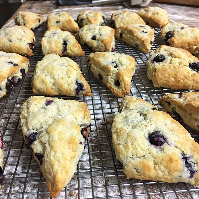 Blueberry scones cooling on the rack &ndash; the golden exteriors and purple-jeweled interiors promising a perfect balance of crumb and fruit.
