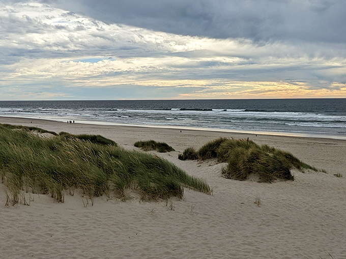 Beach grass sentinels stand guard over golden sands, with the ocean stretching to infinity like nature's ultimate meditation app.