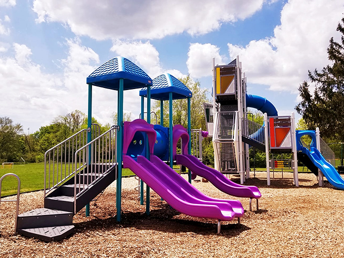 Childhood joy comes in purple and blue at Berea City Park, where modern playground equipment promises adventures limited only by imagination.