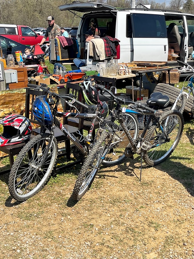 Bicycle graveyard or transportation rebirth center? These two-wheeled chariots await new adventures with riders who appreciate vintage pedal power.