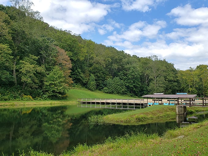 Where land meets water meets sky&mdash;this peaceful dock area invites contemplation, fishing, or simply doing absolutely nothing at all.