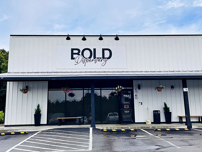 Modern meets small-town at Bold Dispensary, proof that Heber Springs embraces new businesses while maintaining its traditional character.