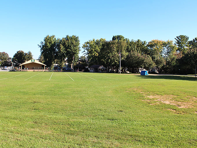 Boro Park's expansive green space offers a breath of fresh air in the heart of town, where community gatherings transform grass into memories.