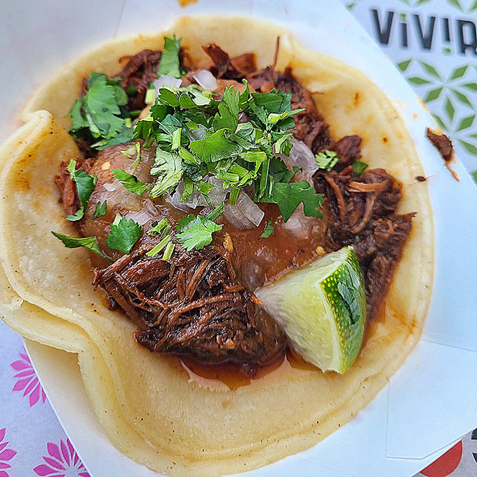Braised beef so tender it surrenders at the mere suggestion of a bite, nestled in a fresh tortilla with cilantro confetti.