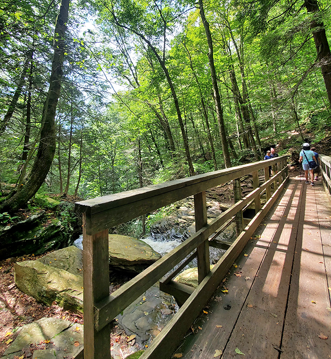 This rustic bridge isn't just functional &ndash; it's the perfect spot for that "I'm one with nature" photo that'll make your desk-bound friends properly jealous.