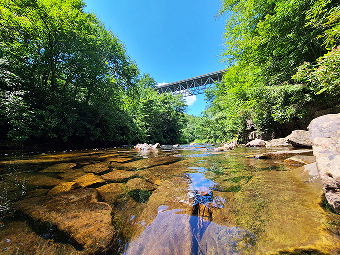 Clear waters reveal nature's secret mosaic beneath, while the bridge above reminds us we're just passing through this perfect slice of wilderness.