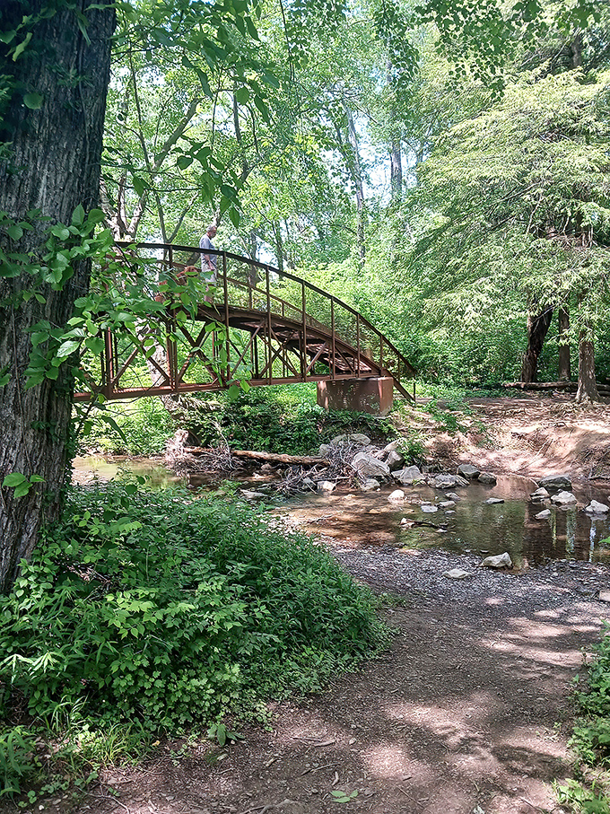 This isn't just any bridge crossing any creek—it's where Thoreau would have pitched a tent if he'd discovered Kentucky.