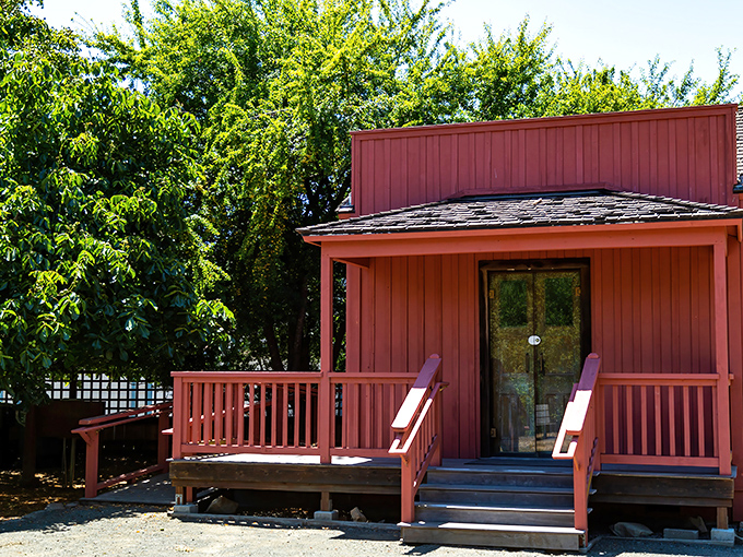 This rustic red cabin offers a peaceful retreat among the pines, where porch-sitting qualifies as a legitimate vacation activity.