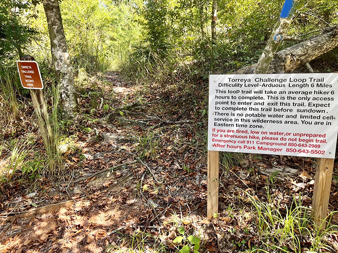 "Arduous" is park-speak for "you'll question your life choices halfway through." Pack water and determination for this challenging adventure.