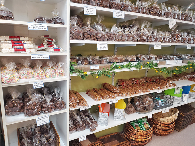 Shelf after shelf of packaged delights await, each bag promising a different journey through texture and taste.