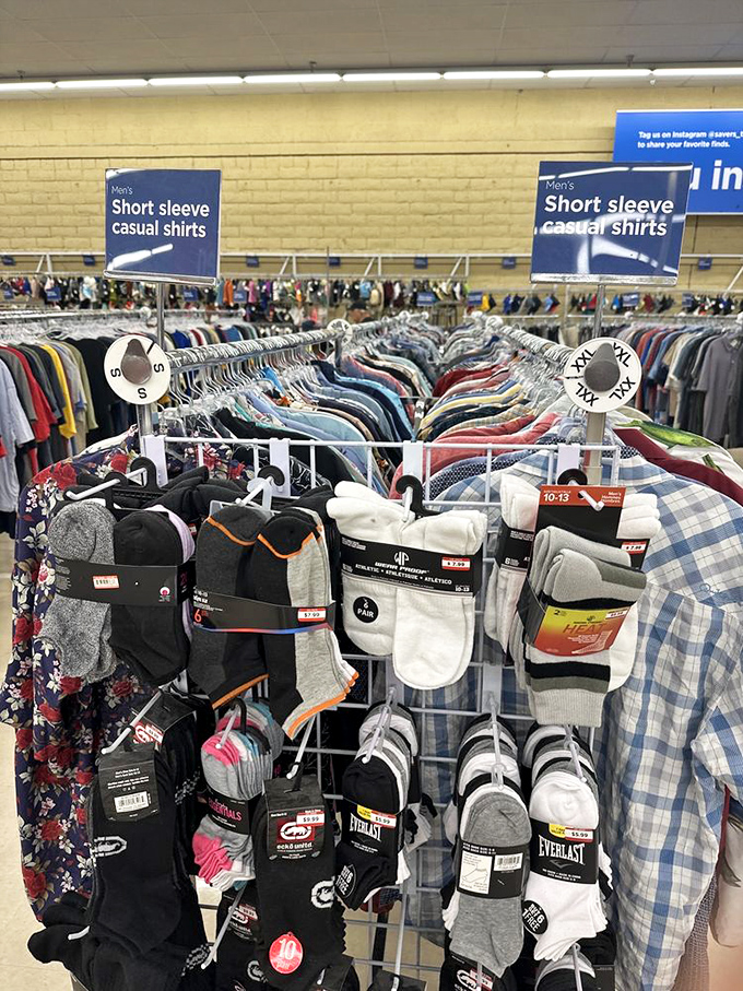 Organized chaos meets retail therapy where every size marker promises hidden gems for patient hunters.