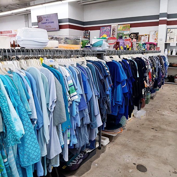 Color-coordinated racks create a soothing blue gradient that would make Marie Kondo weep with joy. Organization amid the treasure hunt.