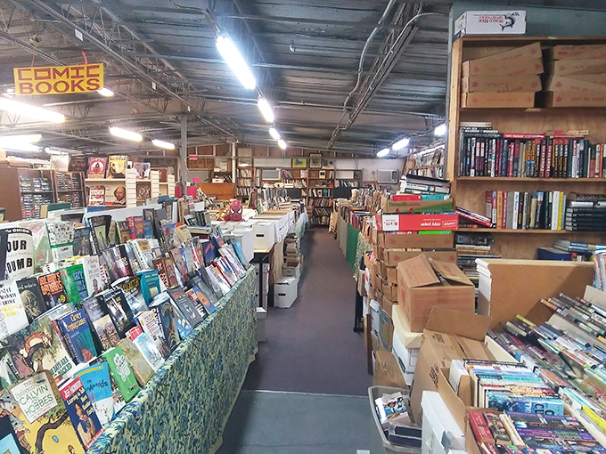 Literary heaven stretches before you&mdash;aisles of possibility where comic book heroes wait patiently to be rediscovered and taken on new adventures.