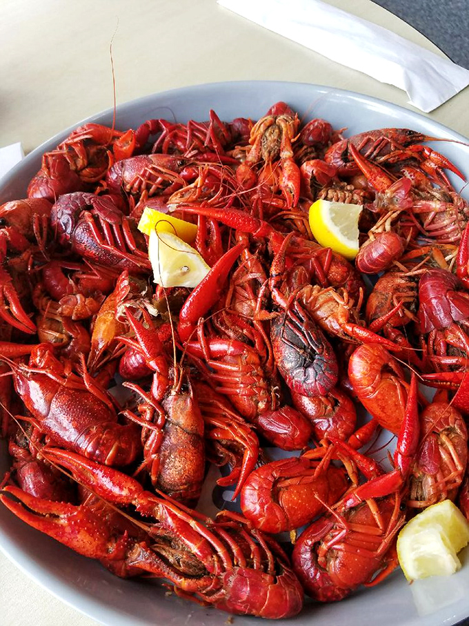 A mountain of boiled crawfish that requires commitment, technique, and zero concern for how you look while eating them. Worth every messy minute.