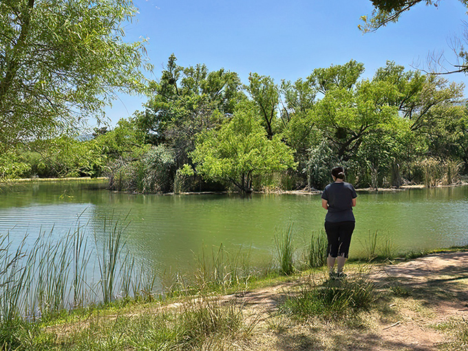 Dead Horse Ranch State Park offers tranquil fishing spots where time slows down and catching anything feels like a bonus.