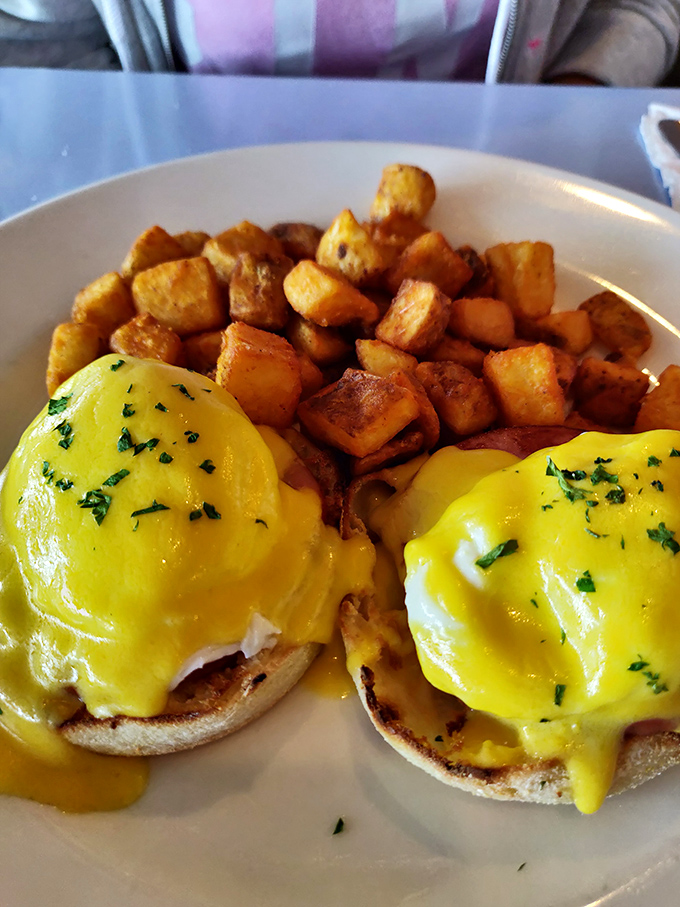 Eggs Benedict that would make the Pope jealous—hollandaise so bright it could guide ships to shore.