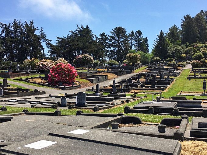 Even the cemetery here maintains Victorian elegance, where eternal rest comes with a view worth remembering.