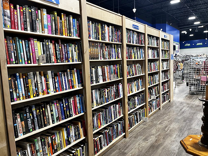 Bookworms, prepare to lose track of time. These shelves hold enough stories to fill a thousand rainy afternoons with adventure.