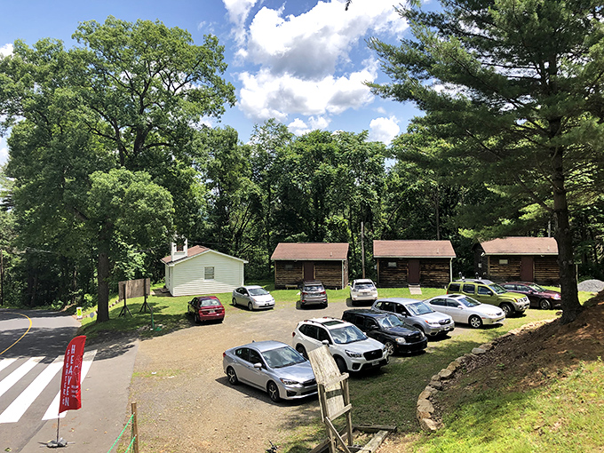 These rustic cabins nestled among Pennsylvania pines offer a glimpse of the simpler accommodations that complement Orwigsburg's affordable lifestyle.