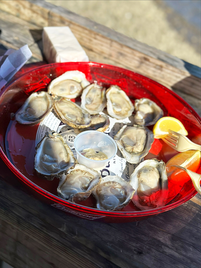 Raw oysters on a red plate&mdash;nature's perfect food presented with beautiful simplicity. Just add lemon and prepare for briny bliss.