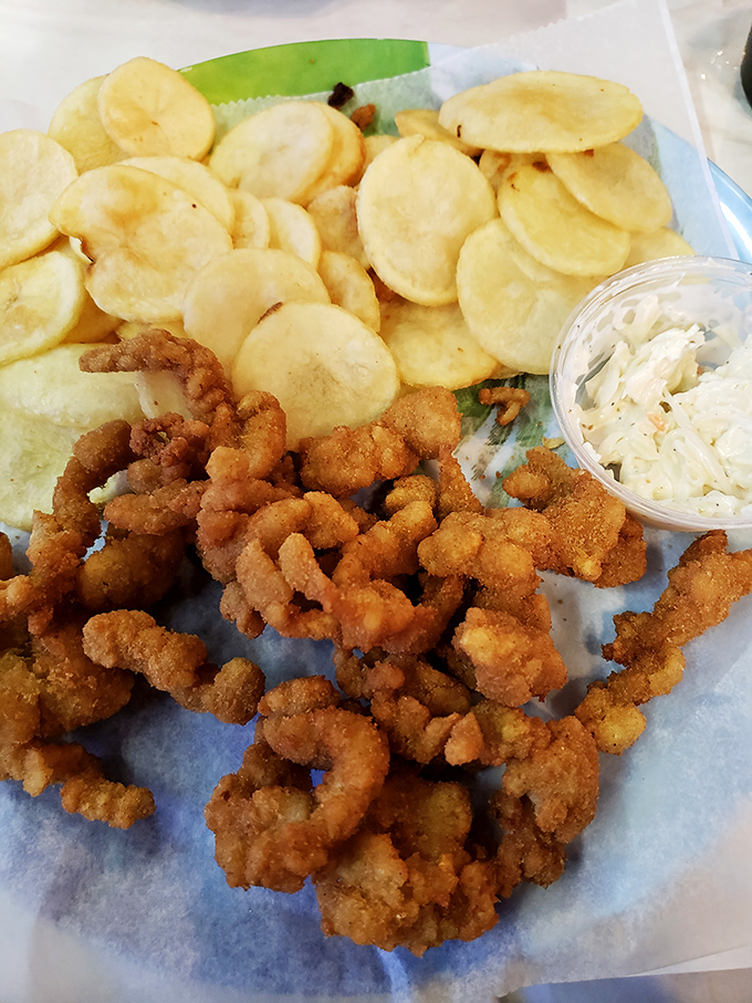Fried clams and homemade chips&mdash;the dynamic duo of seafood comfort. That perfect golden-brown color isn't just cooking; it's a commitment to doing simple things extraordinarily well.