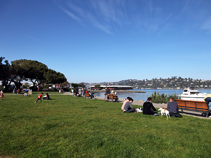 Gabrielson Park provides the ultimate lunch spot, where locals and visitors alike spread picnic blankets and pretend they're sophisticated Europeans for an afternoon.
