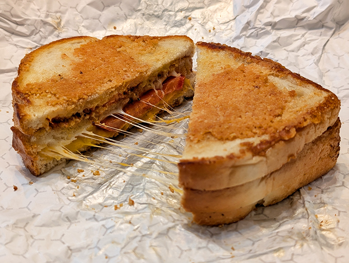 The star of the show: a grilled cheese with the perfect golden crust and that cheese pull that deserves its own slow-motion sequence in a food documentary.