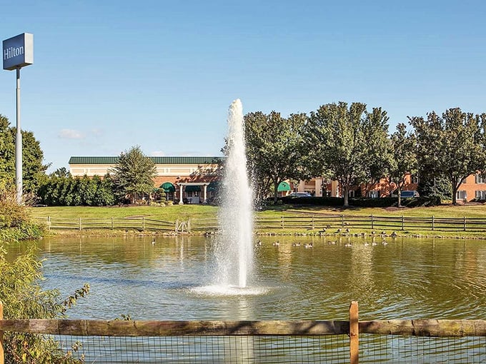 Even chain hotels in Newark embrace the local vibe, with this Hilton featuring a fountain that's more "serene oasis" than "corporate stopover."